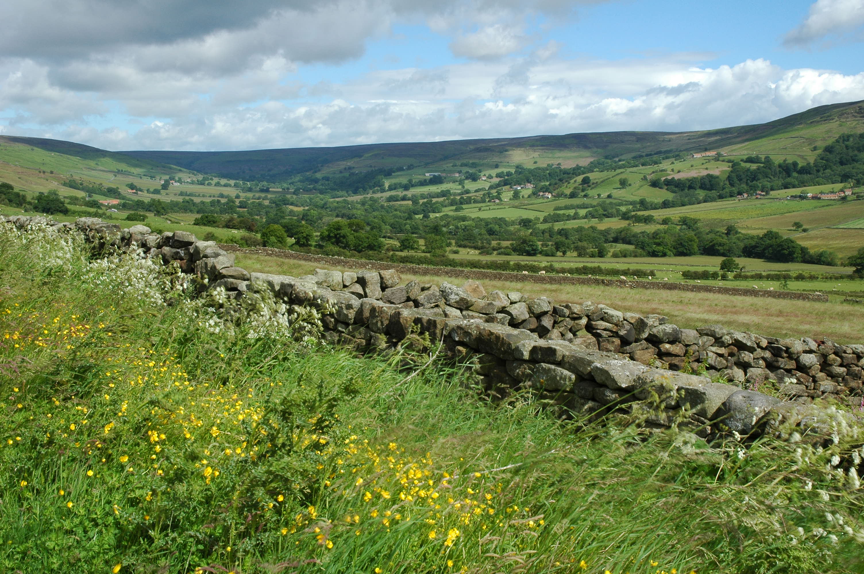 IMAGES: NORTH YORK MOORS